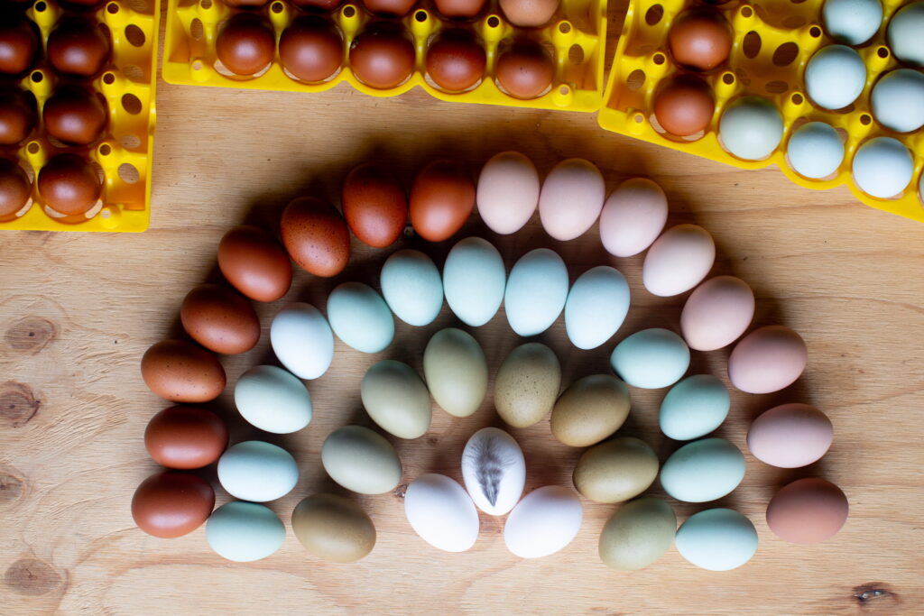 Welcome - Lay Me A Rainbow