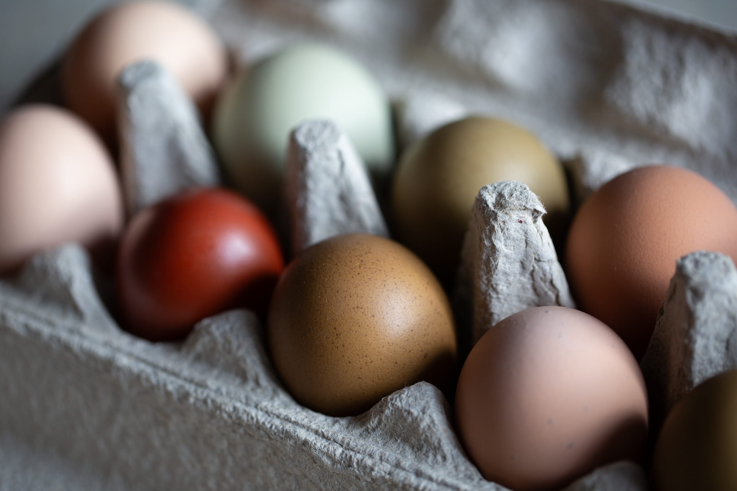 Our Eggs | Lay Me A Rainbow