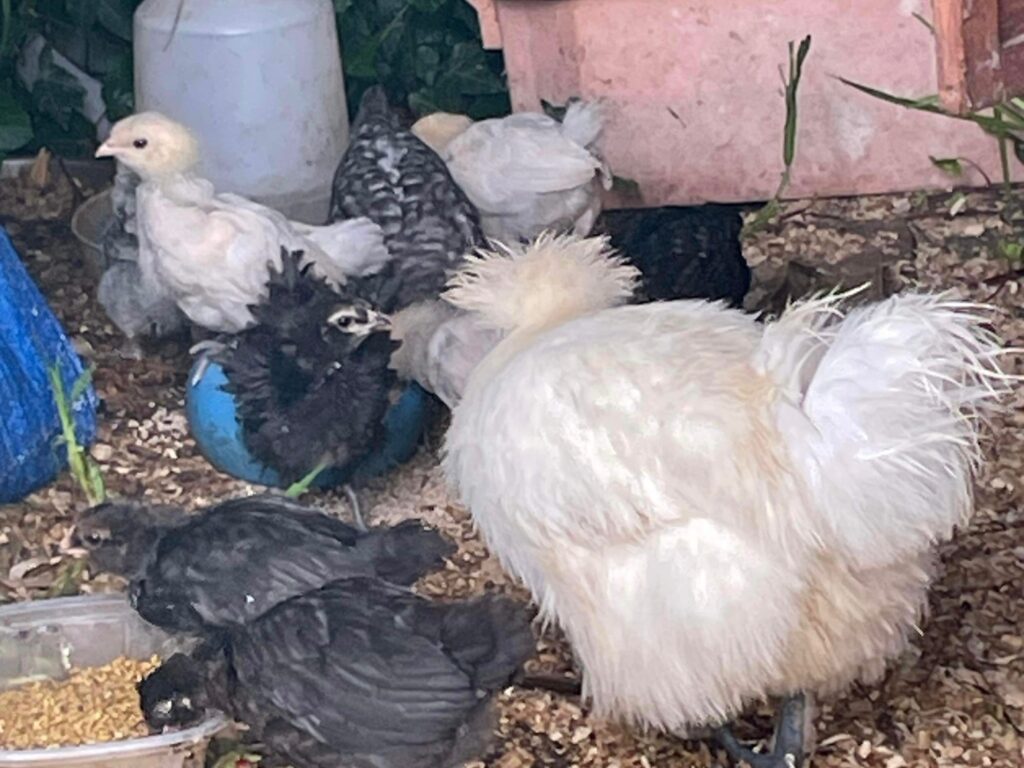 Welcome | Lay Me A Rainbow